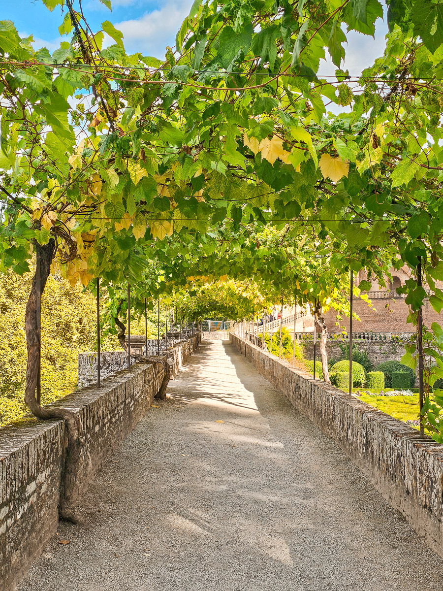 11 Extraordinary Things To Do in Albi, France