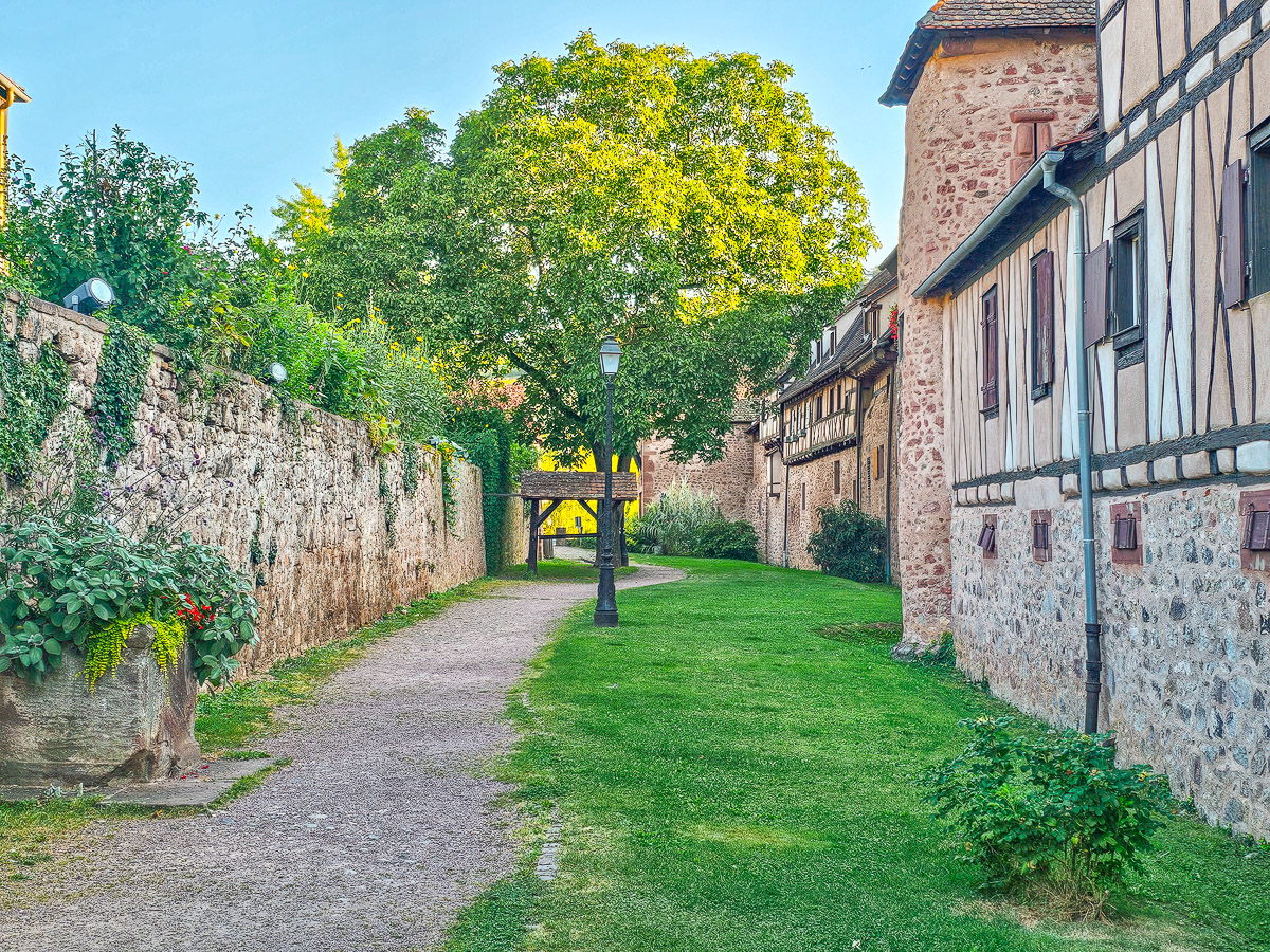 13 Charming Things to Do in Riquewihr: Alsace's Storybook Village